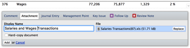 Using Analytical Review Tools – Audit Assistant Support