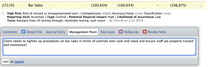 Management report points – Audit Assistant Support